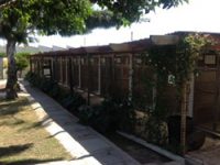 Branches – Cape Town – Animal Welfare – AACL