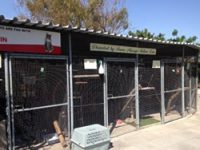 Branches – Cape Town – Animal Welfare – AACL