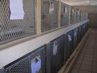 Branches – Cape Town – Animal Welfare – AACL