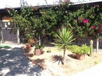 Branches – Cape Town – Animal Welfare – AACL