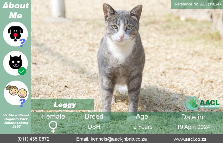 Leggy – AACL
