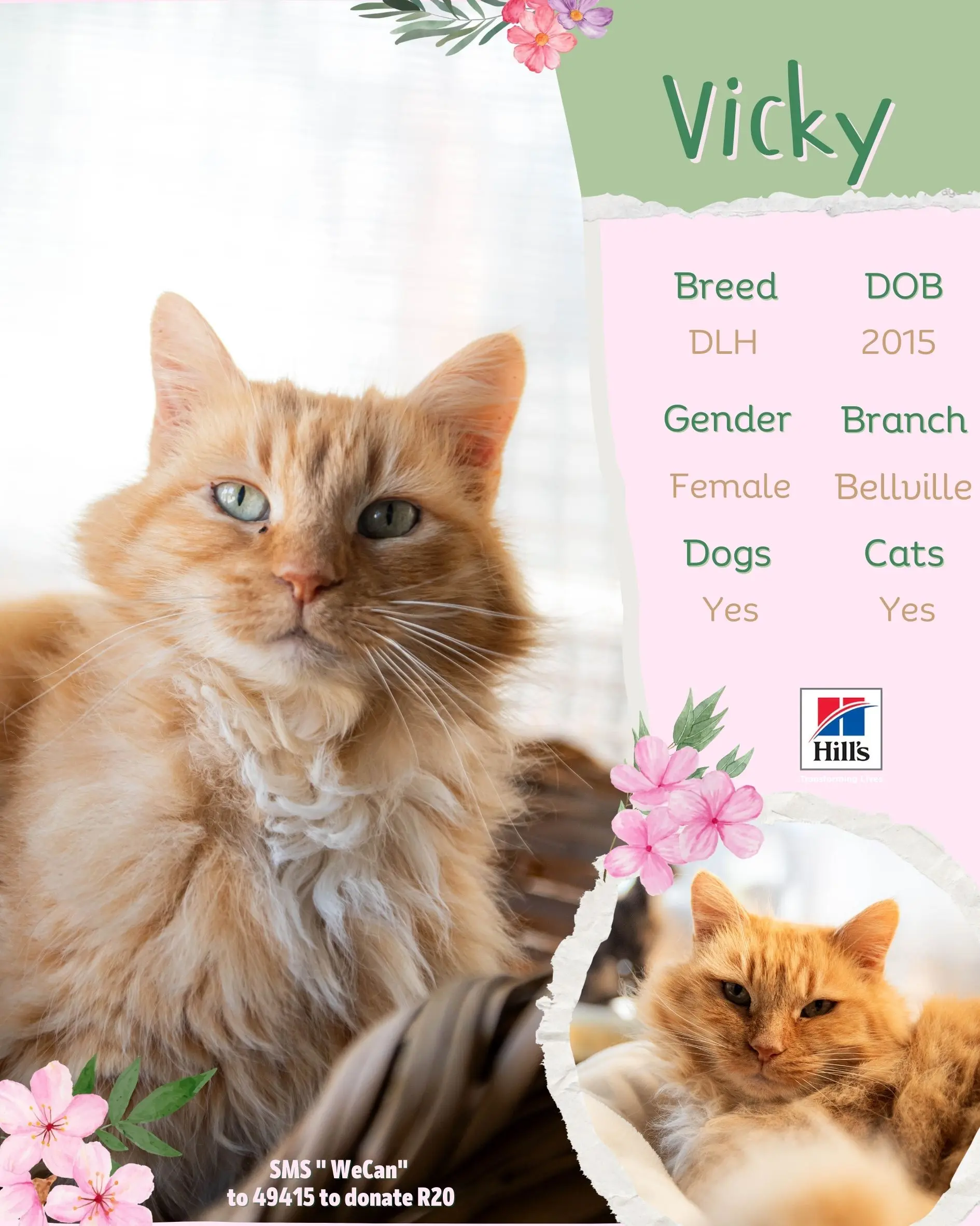 Adoption – Cape Town – AACL