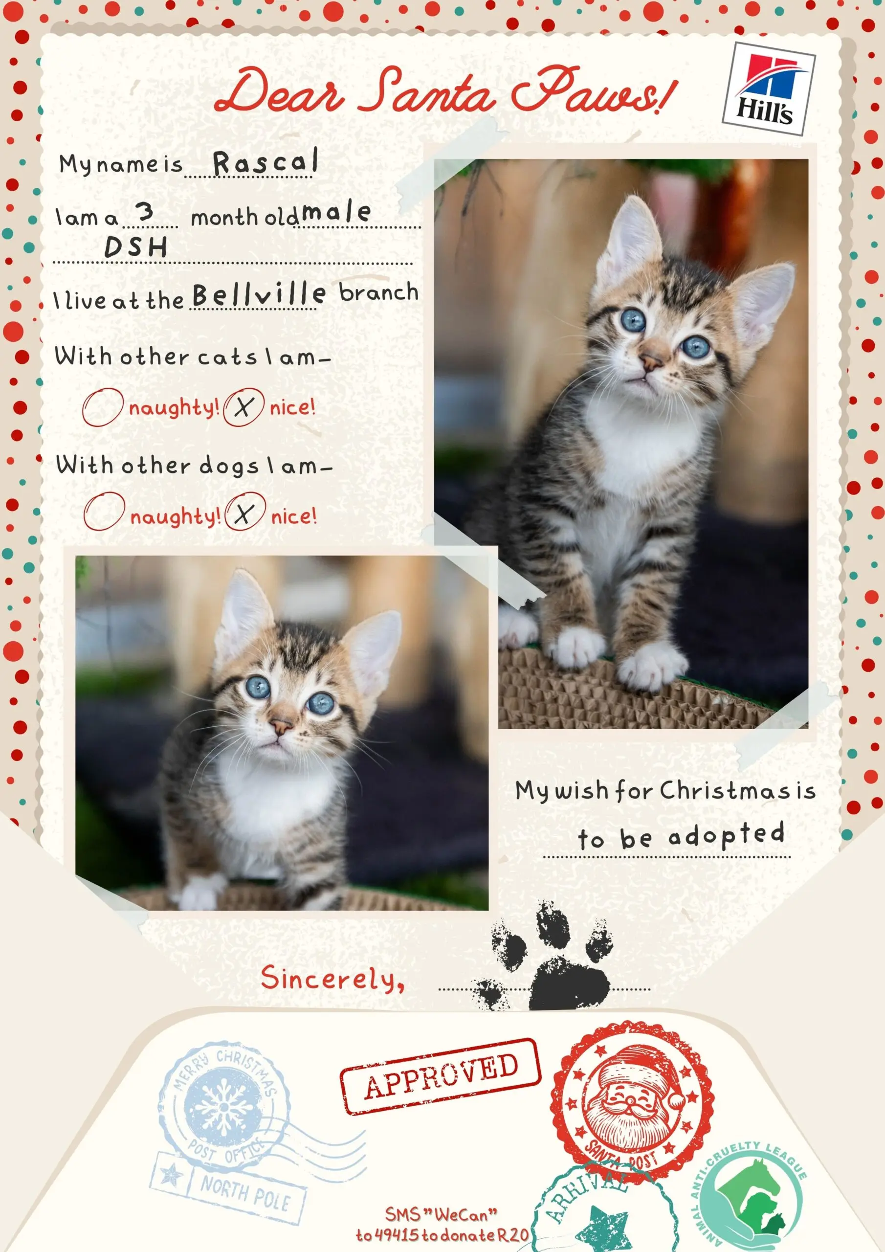 Adoption – Cape Town – AACL
