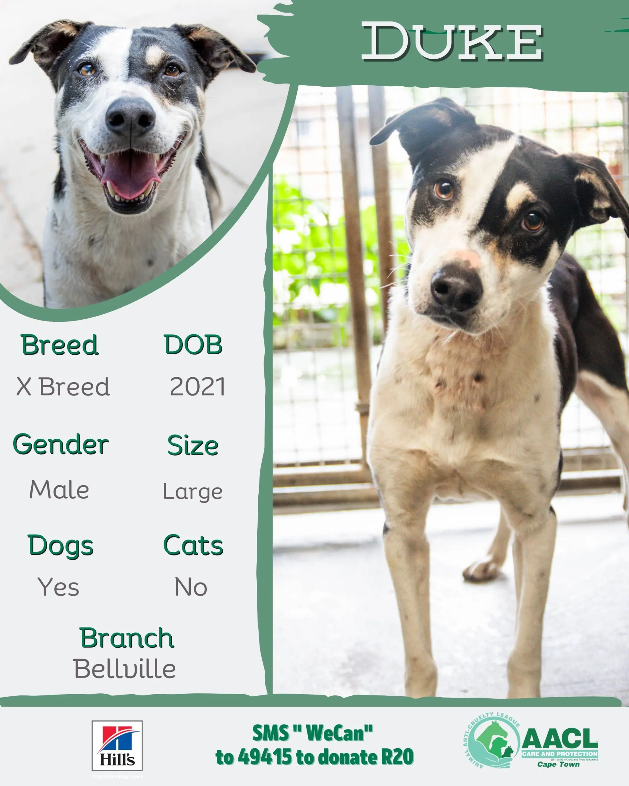 Adoption – Cape Town – AACL