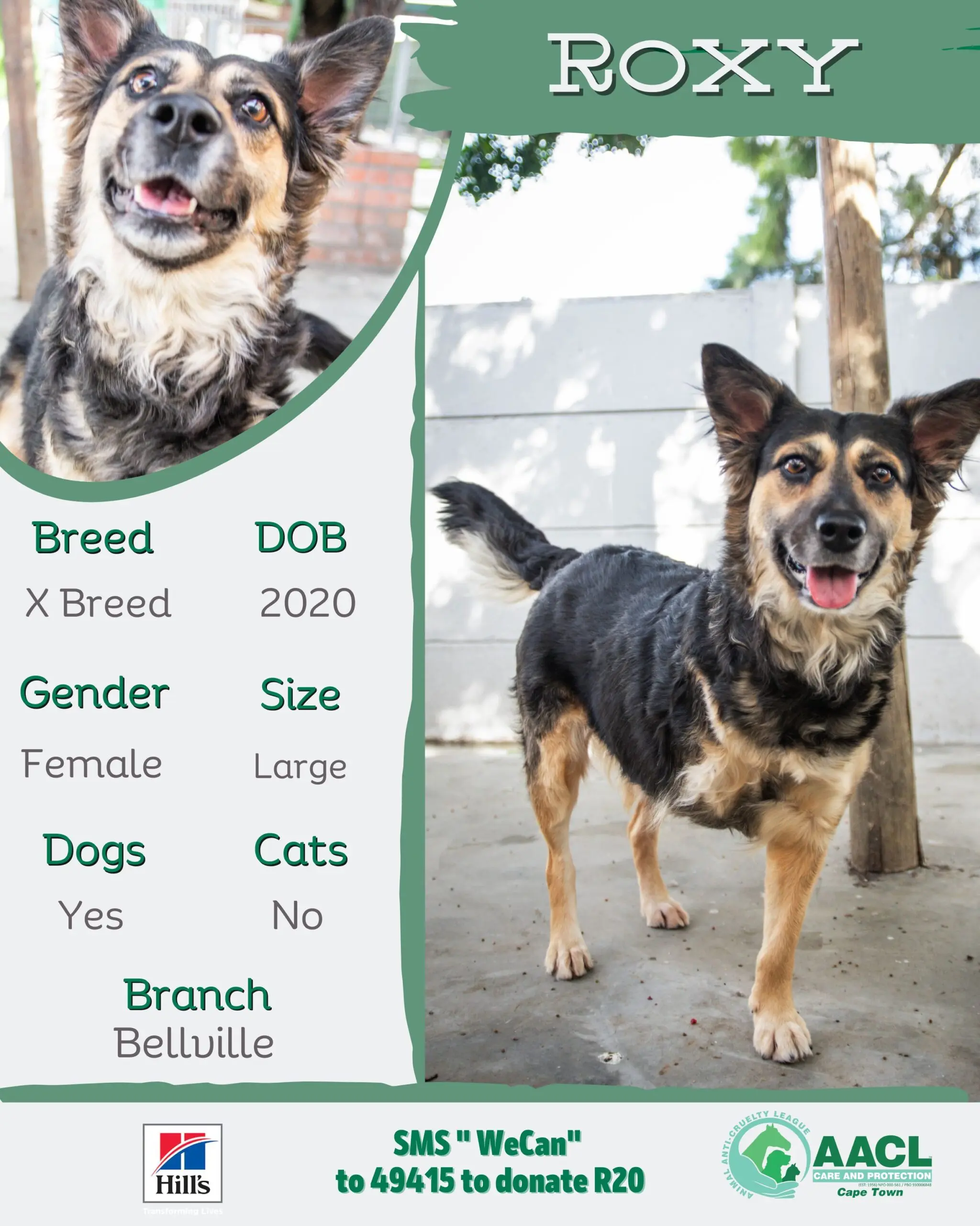 Adoption – Cape Town – AACL
