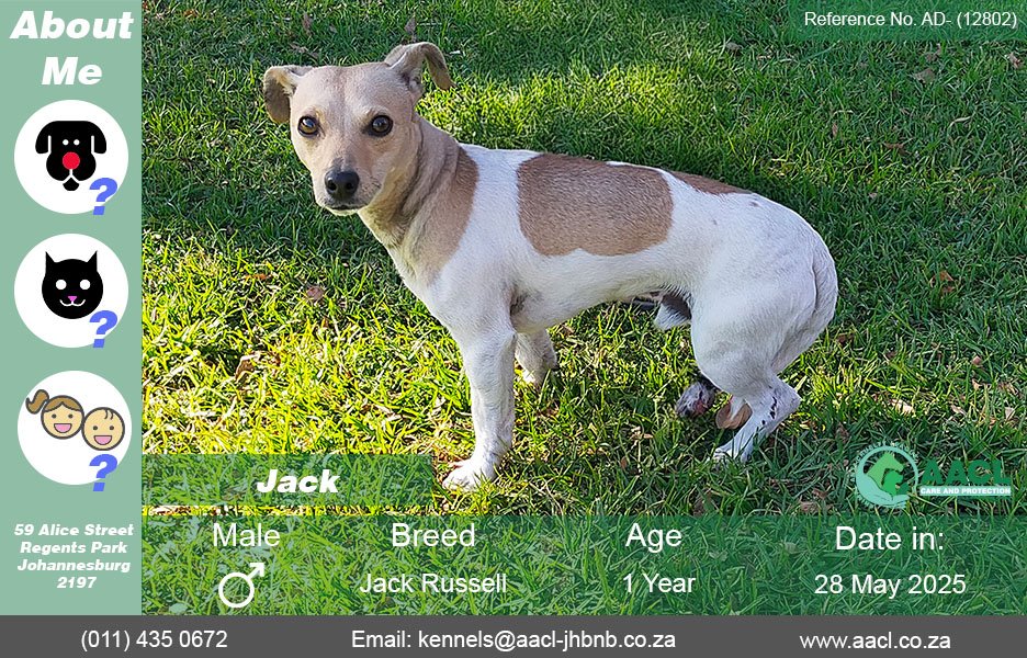 Jack – AACL