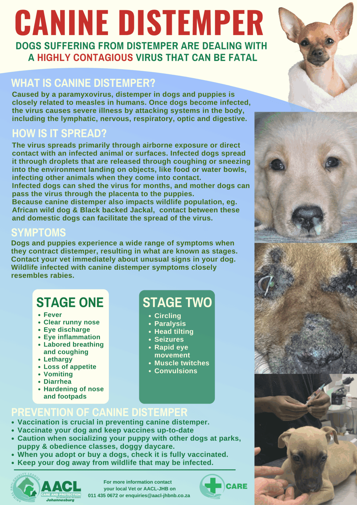 Canine Distemper outbreak 2025 – AACL