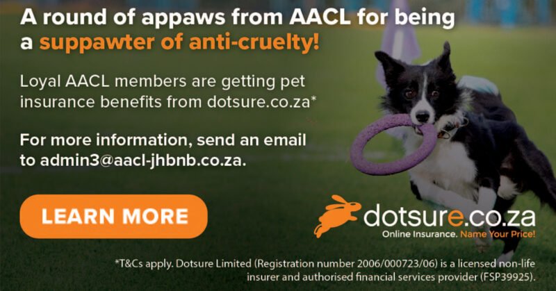 Johannesburg Head Office – AACL