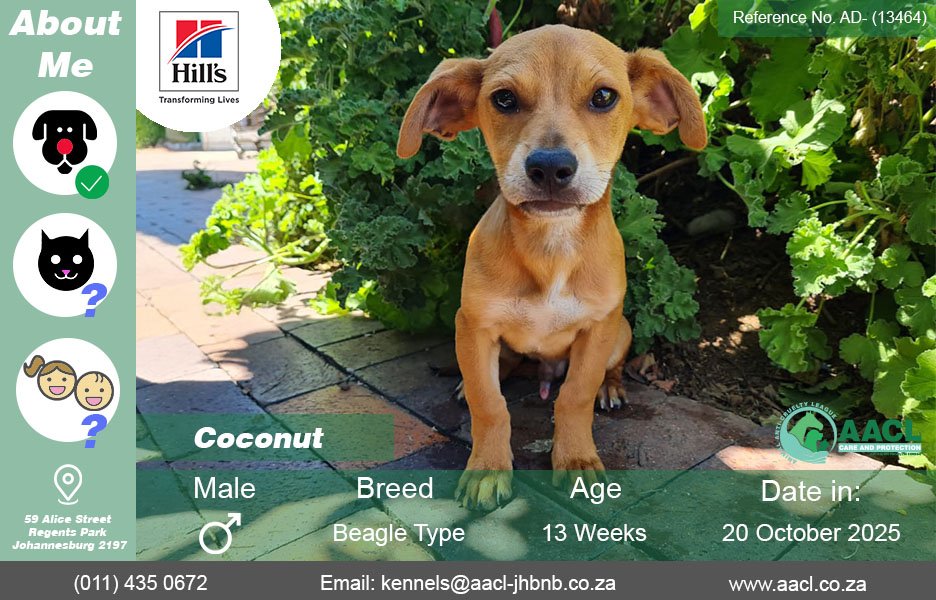 Coconut – AACL