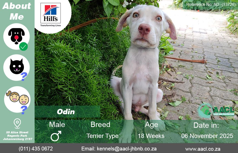 Odin – AACL
