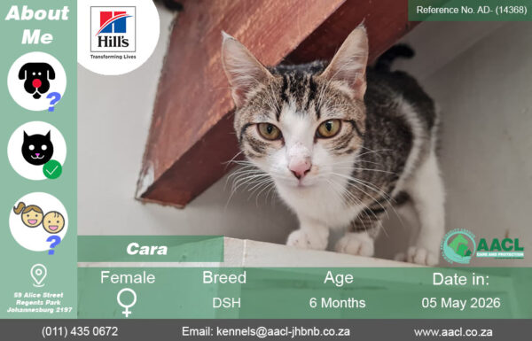 Cara – AACL